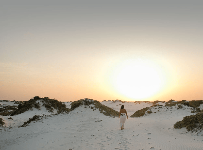 Todo sobre el clima caribeño de Aruba en diciembre