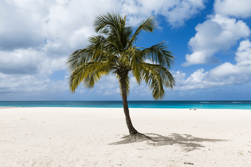 Aruba Announces Summer Reopening Dates for International Travelers ...