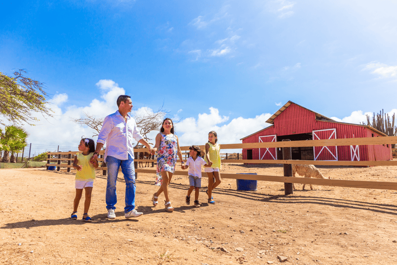 Una Familia Feliz Necesita Una Isla Feliz | Aruba