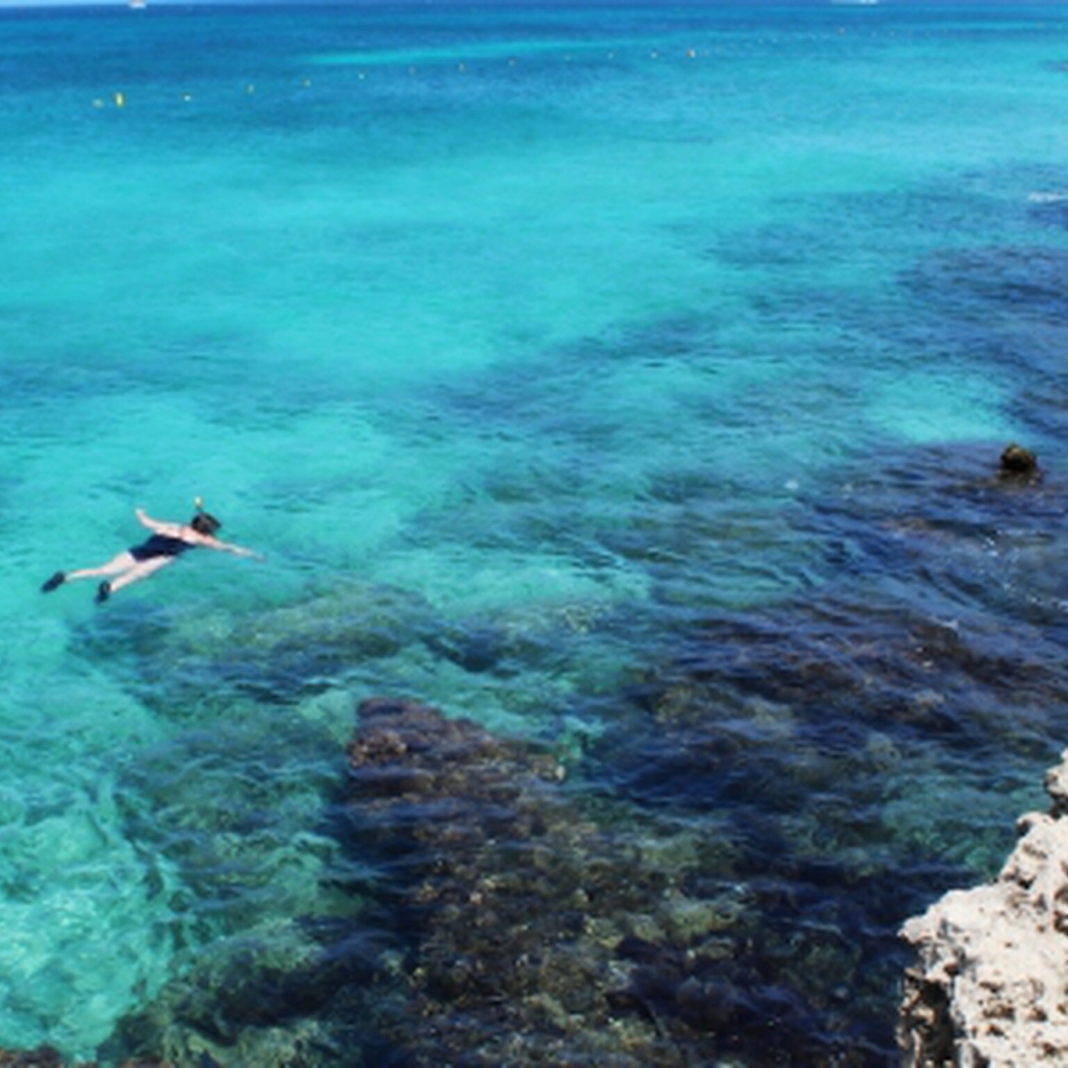 Top 6 beste snorkelplekken op Aruba