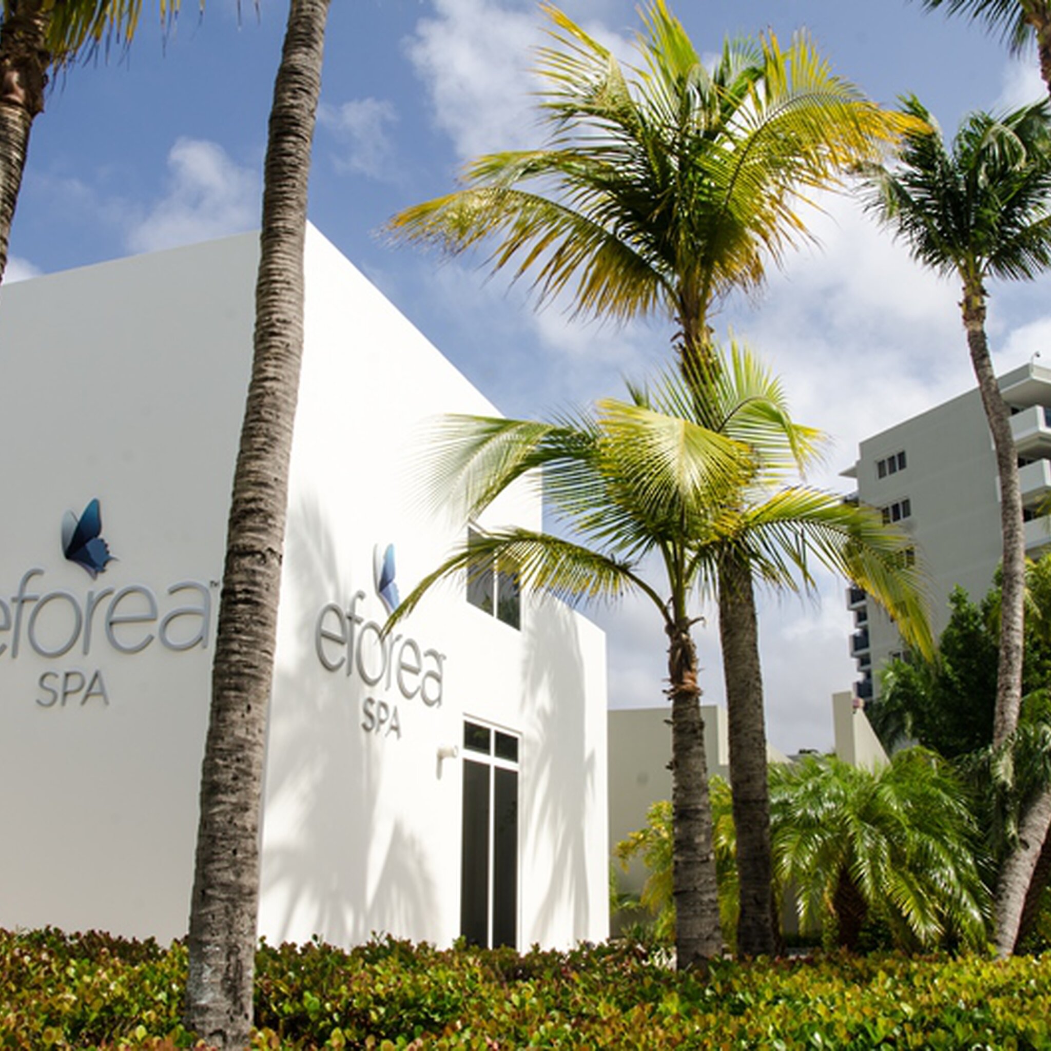 Palm Beach Spas - Eforea Spa