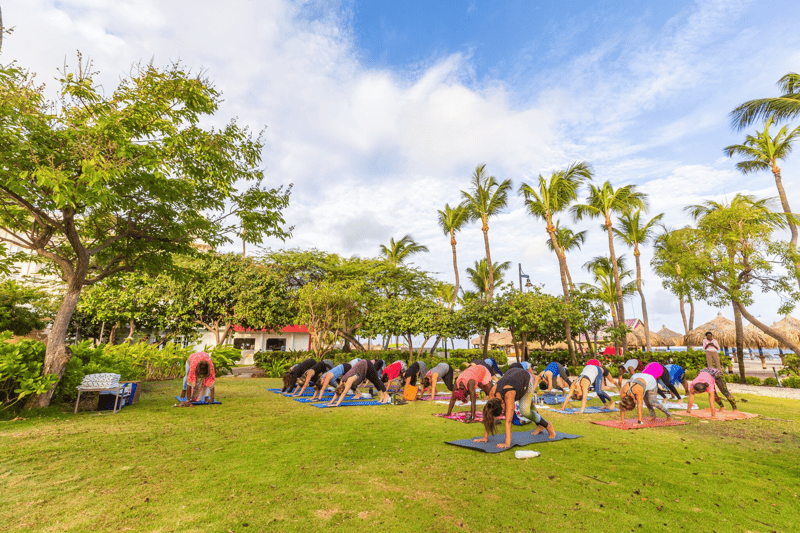 Hilton Aruba Caribbean Resort Wraps Up the 4th Annual Aloe Wellness ...
