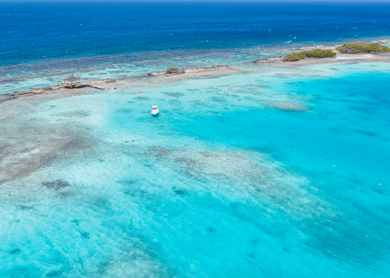 Be Responsible: Protect Beaches and Marine Life | Aruba.com