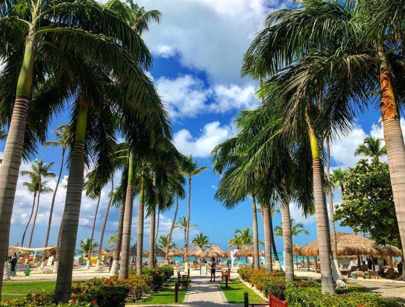 Isla Historia Y Cultura Isla Mas Feliz Del Caribe | Aruba