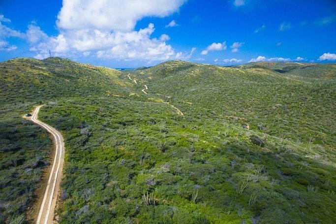 Descubra o Parque Nacional Arikok em Aruba: Sua Próxima Aventura ...