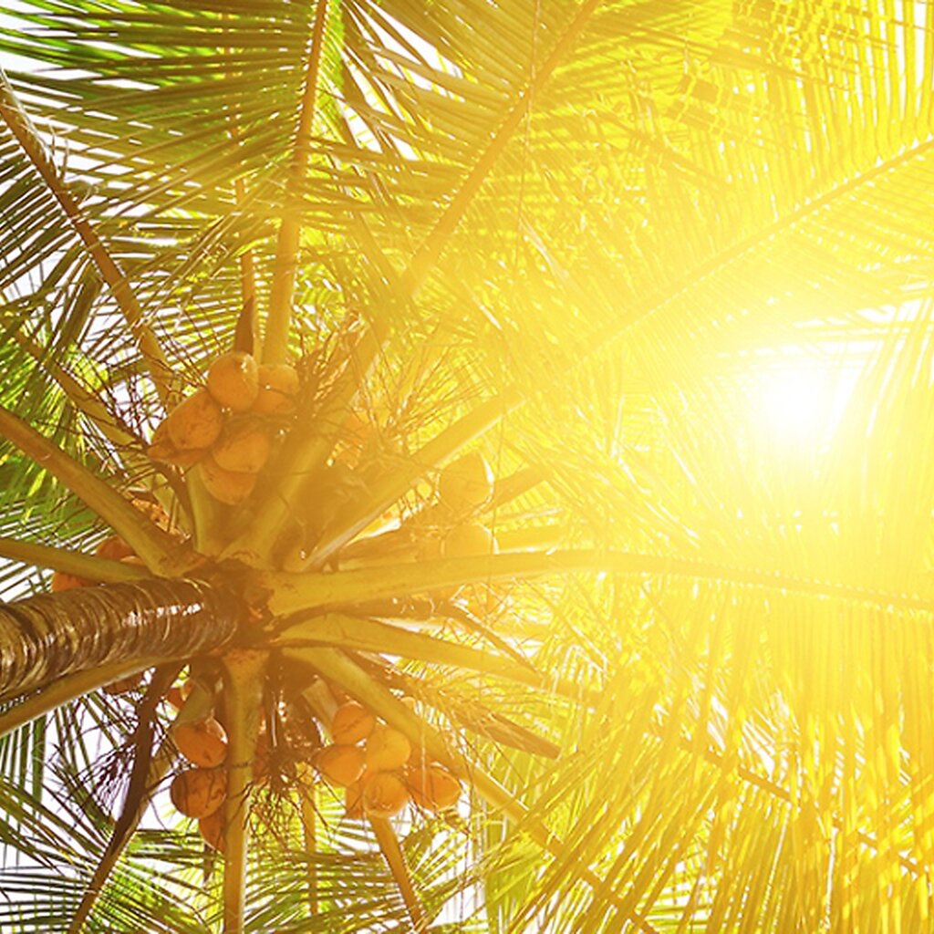 16 FACTS ABOUT ARUBA THAT WILL SURPRISE YOU | Aruba Tourism Blog ...