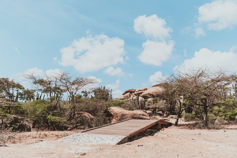 Interpreting Ayo | Aruba.com