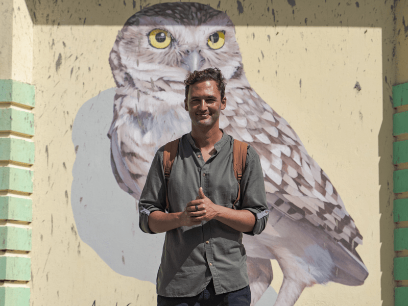 Descubra o segredo da felicidade na docuserie de Aruba: Blue Lizard Effect