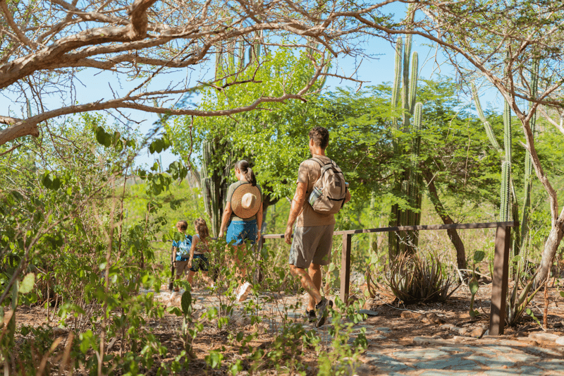 Exploring Aruba's Flora and Fauna | Aruba.com