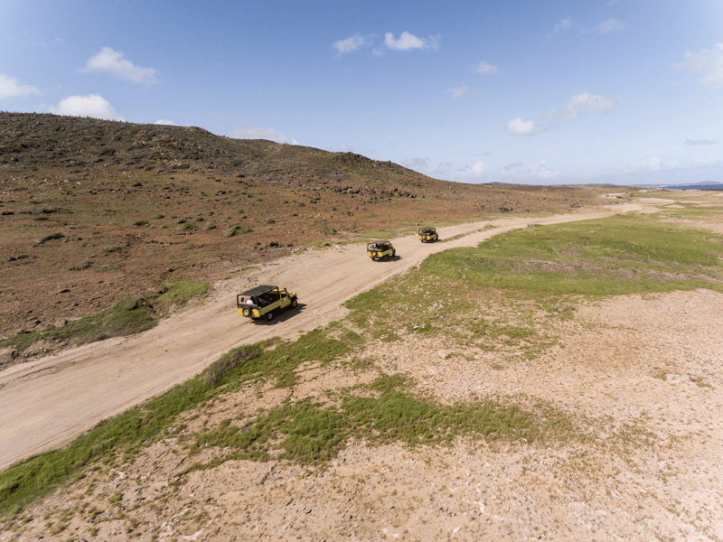 Aruba Bus Tours & Jeep Tours - Aruba's Best Tour Companies