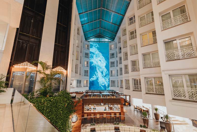 Renaissance Aruba Reveals Art Installation | Aruba.com