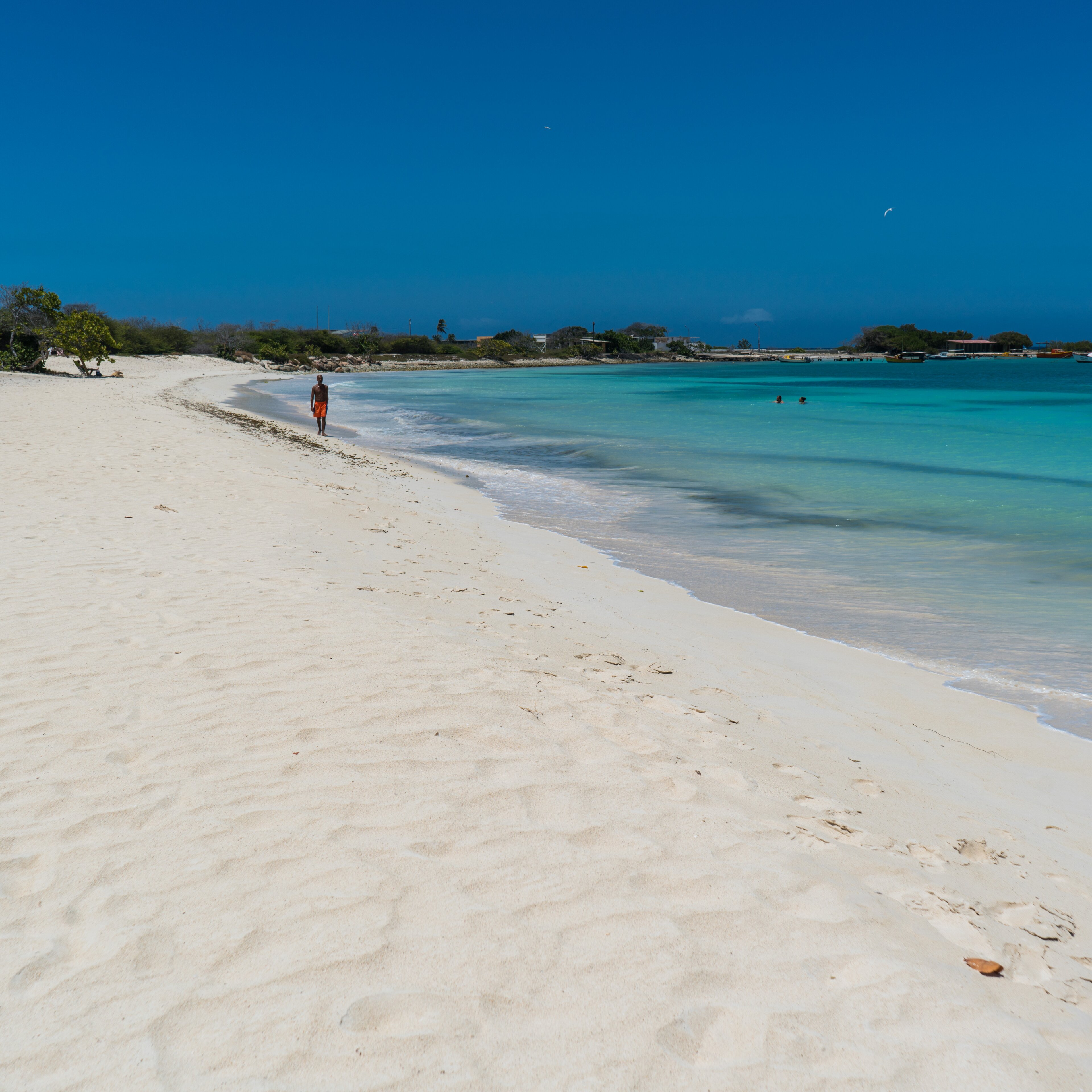 ¿Por qué son tan especiales las playas de Aruba? ¡Ven a conocer el secreto!