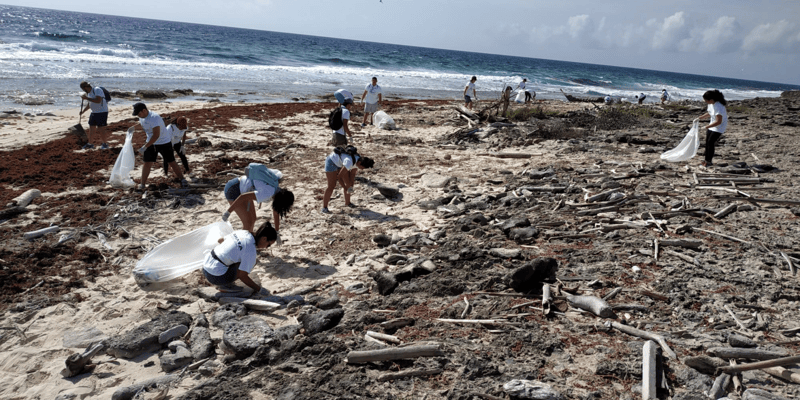 Staff Beautifies Beaches for AHATA’s 18th Coastal Cleanup | Aruba.com