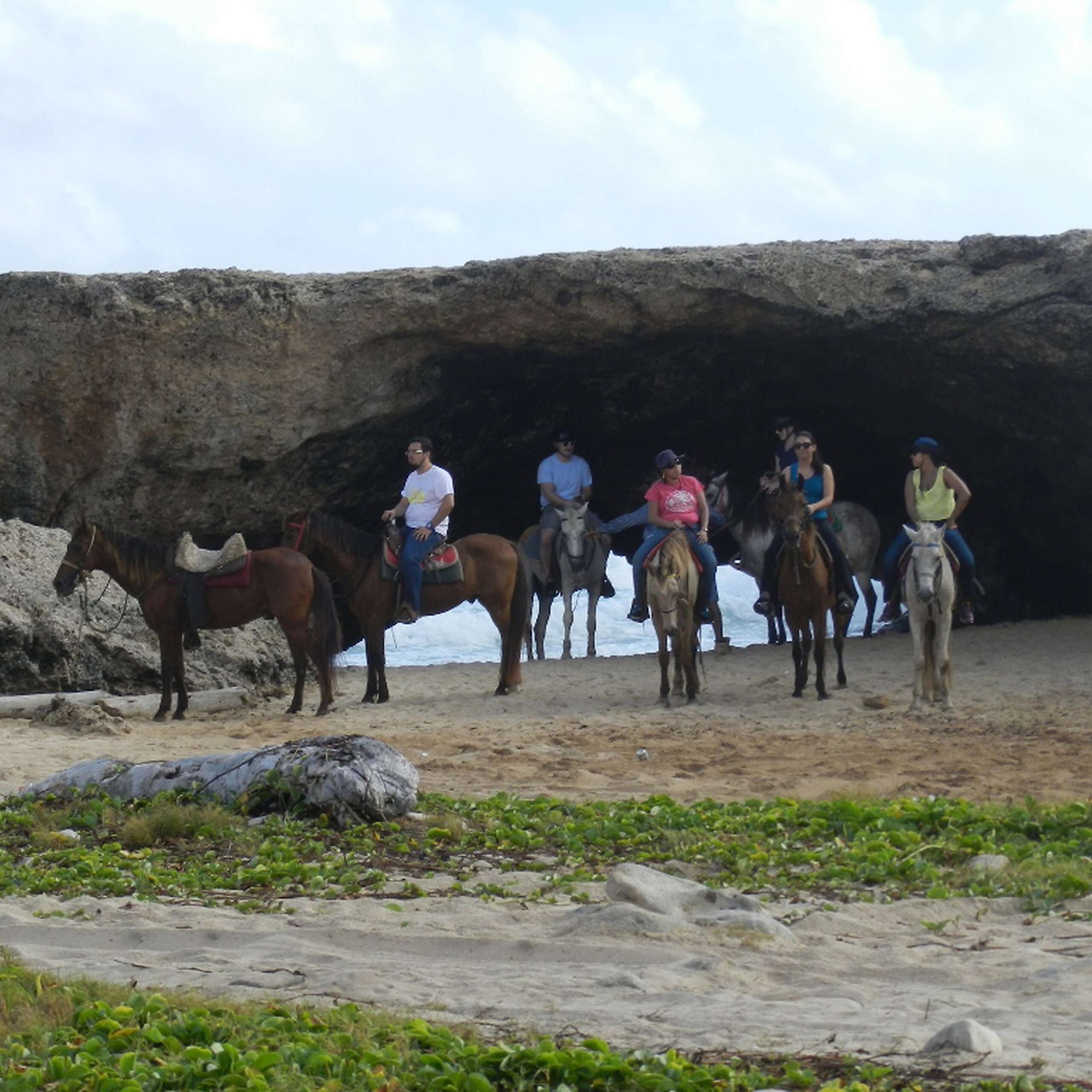 Aruba Horseback Tours - The Gold Mine Ranch