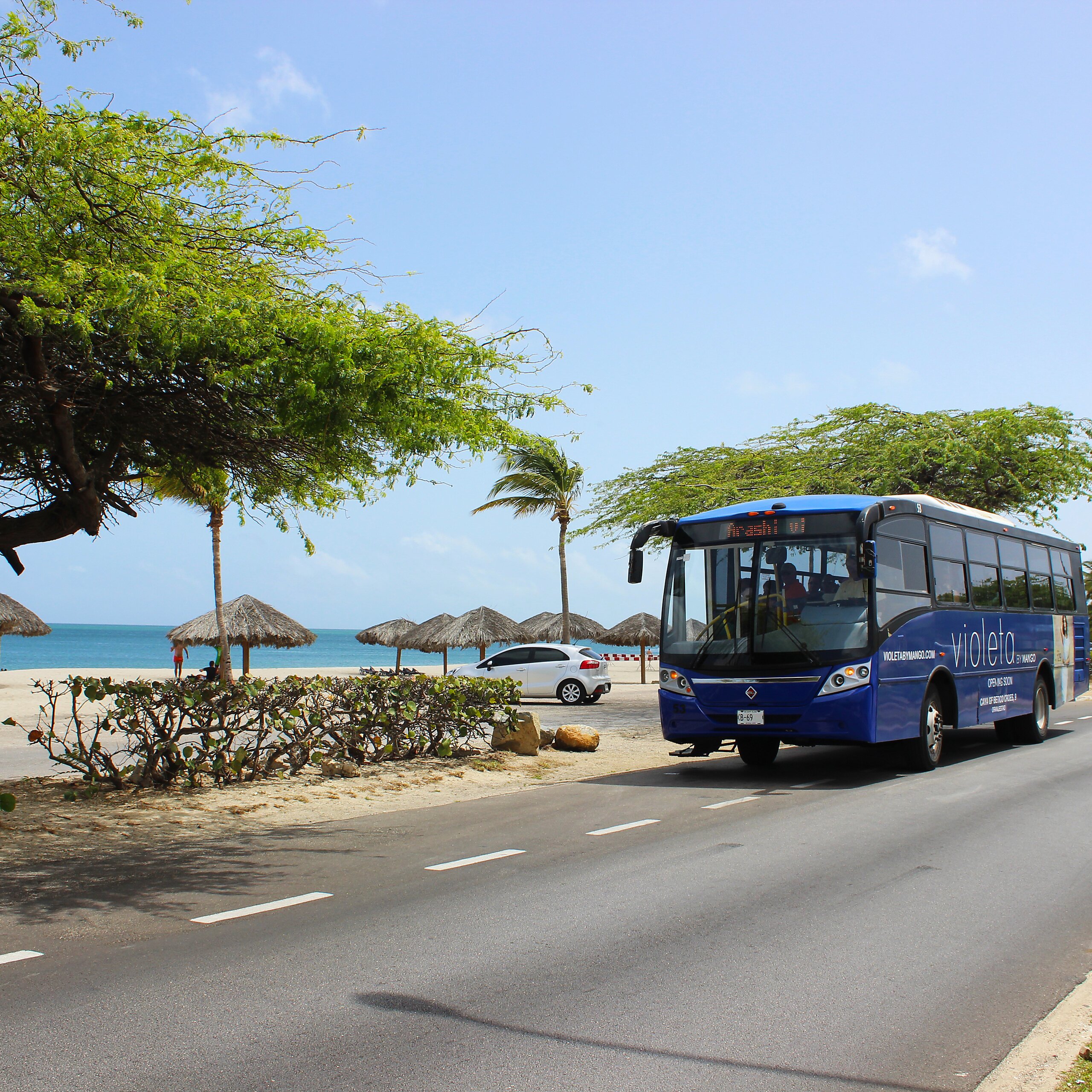 Arubus, Aruba - Openbaar Vervoer op het Hele Eiland
