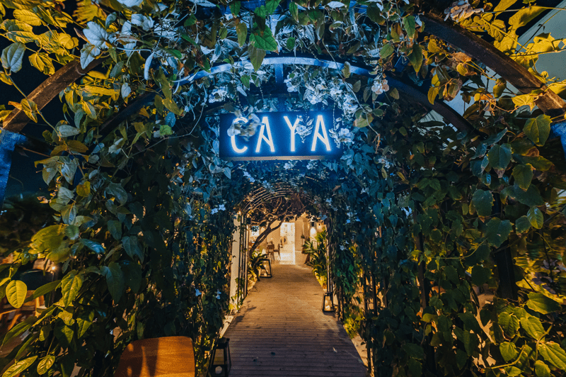 Xa On The Go: Bringing Tulum to Palm Beach. Caya House is where good ...