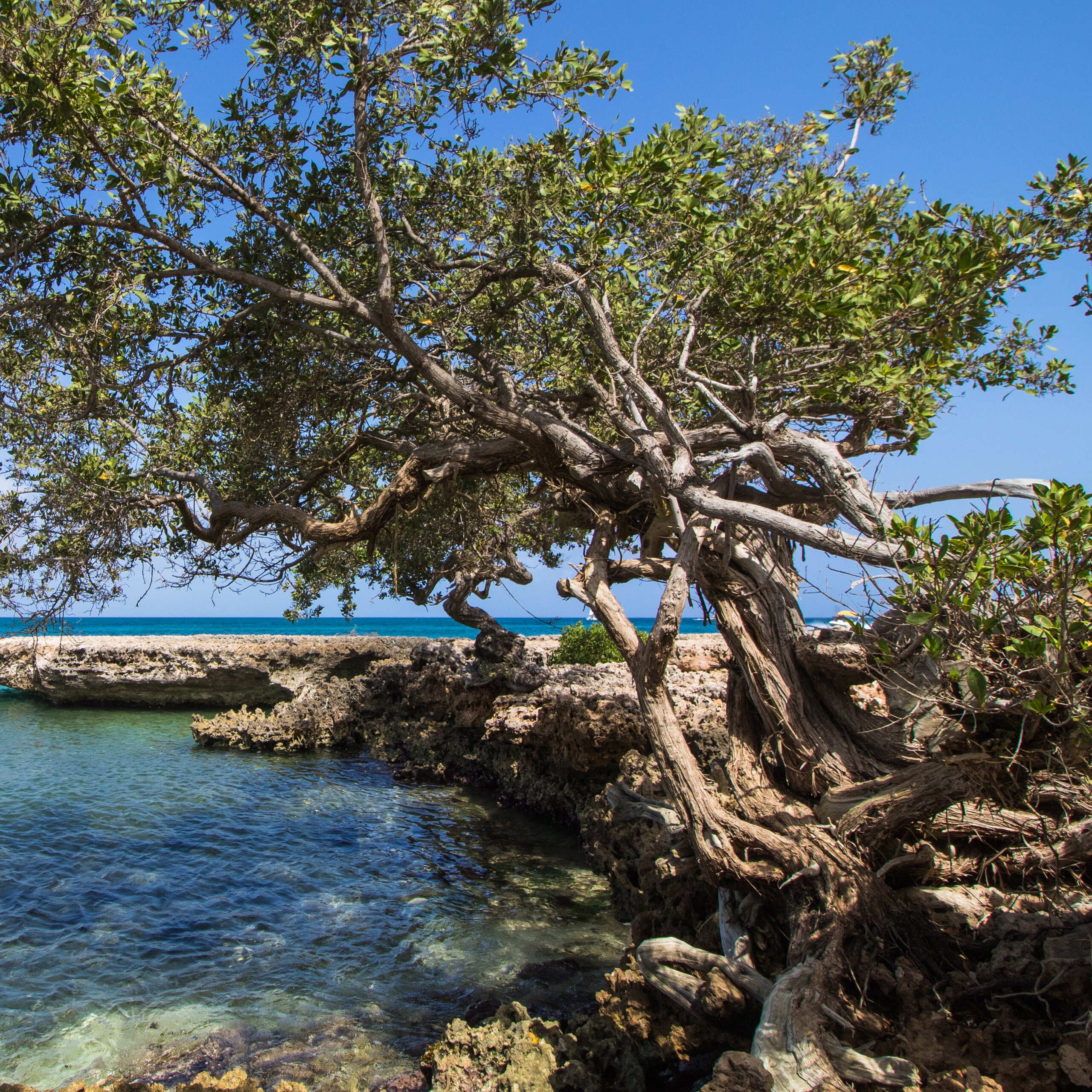 13x wat je nog niet over Aruba weet