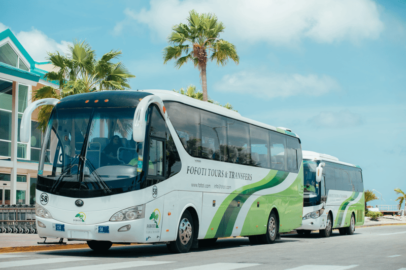Fofoti Tours & Transfers Aruba - Sightseeing Tours