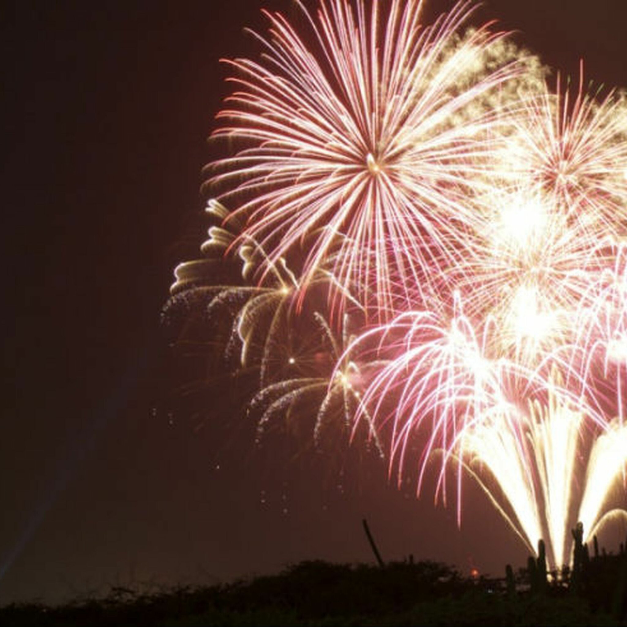 Soup and Celebration at the Carnival Village Aruba!