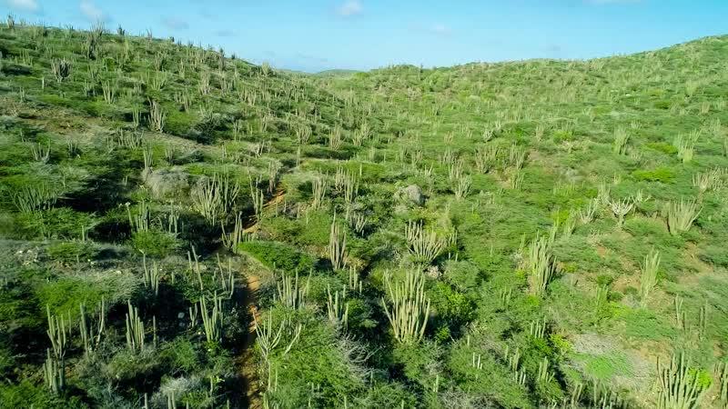 Let's hike in Aruba - Explore the best hiking trails | Aruba.com