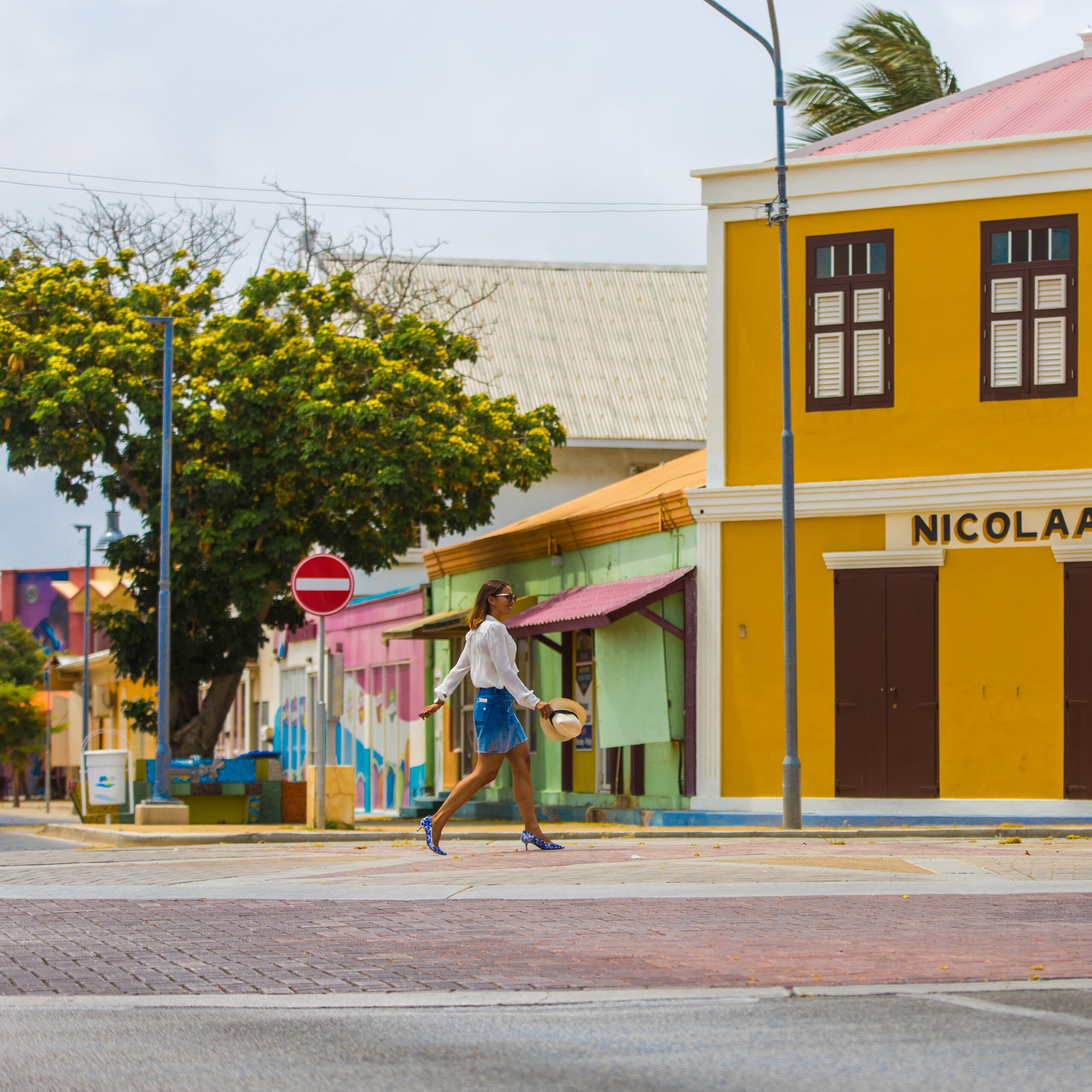 San Nicholas Community Museum Aruba - Authentieke Arubaanse Kunst