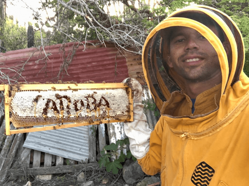 Aruba's Bee Haven