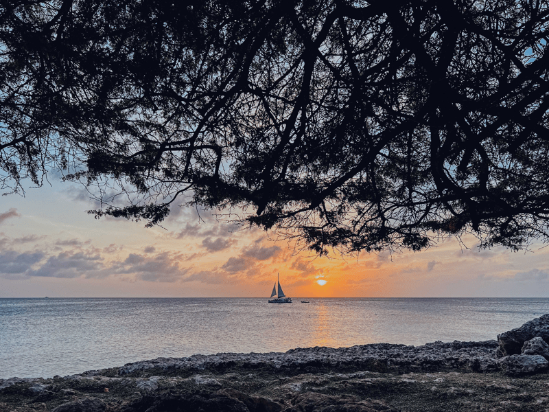 Inspire-se para Viver a Felicidade Todos os Dias | Aruba.com